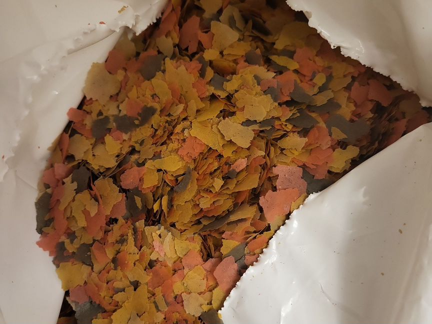 Корм для рыб тетра рубин и таблетки для сомов