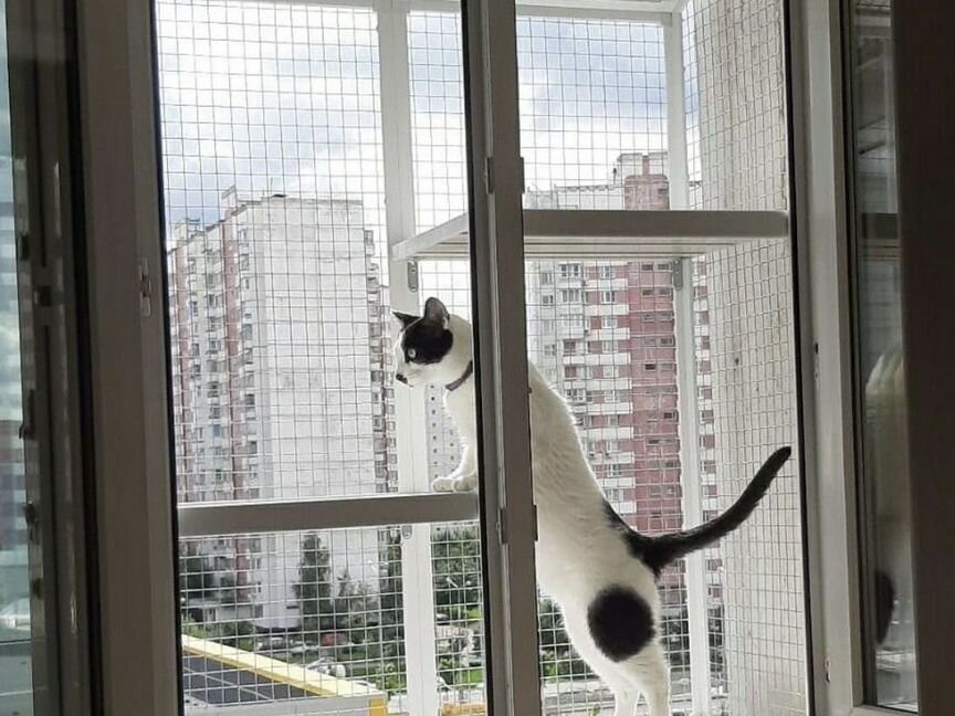 Сетка антикот антикошка балкон