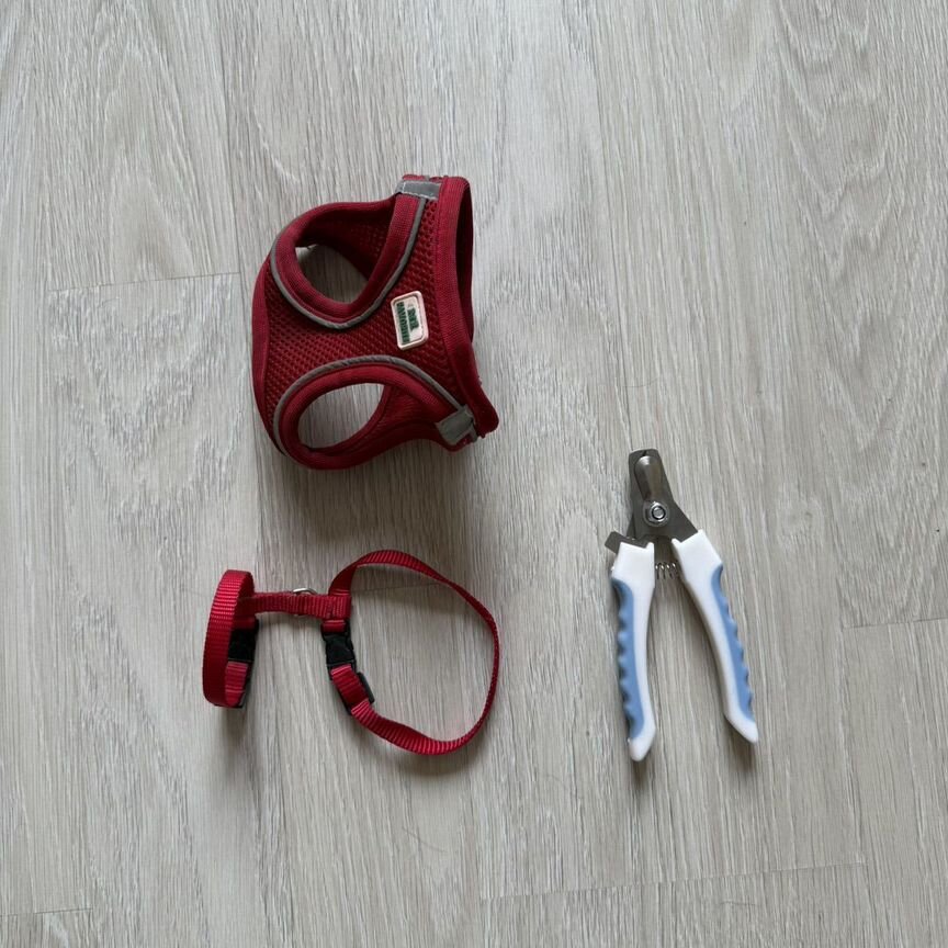 Амуниция для щенков