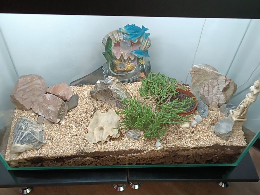 Продам аквариум-флорариум