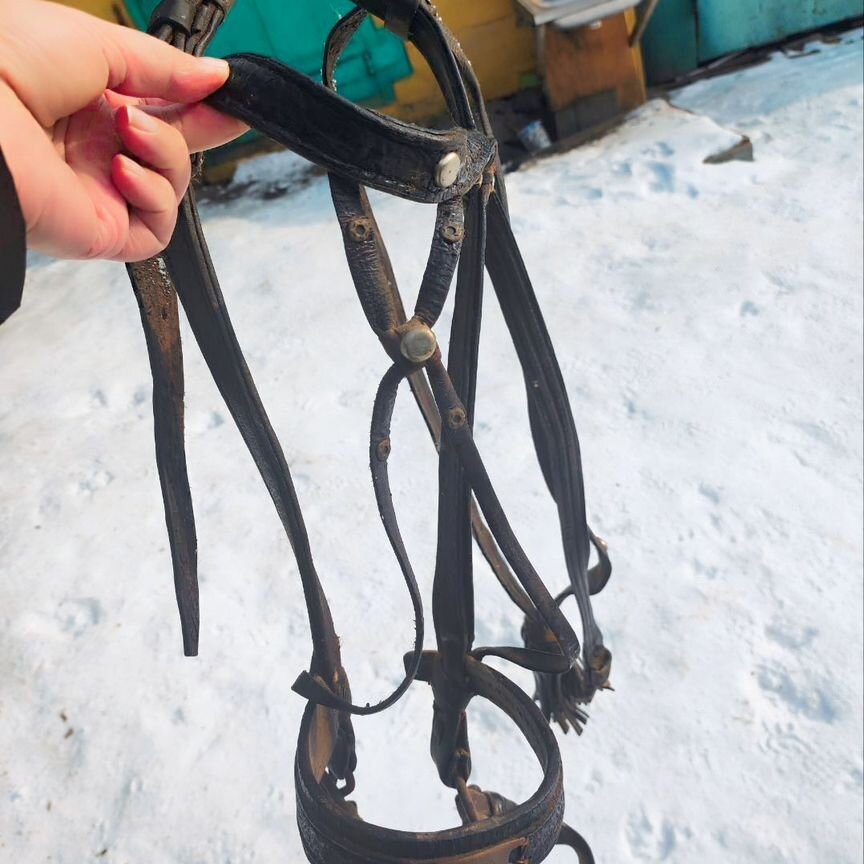 Уздечка для лошади