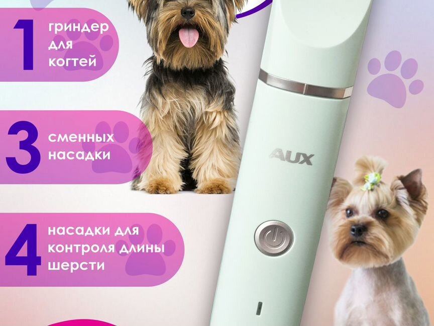Ищем кота для участия в фотосессиях, видеосъёмке