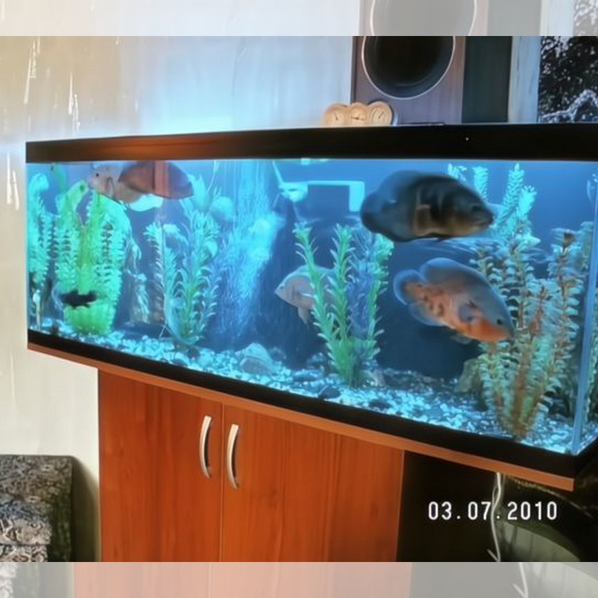 Аквариум на 216 л