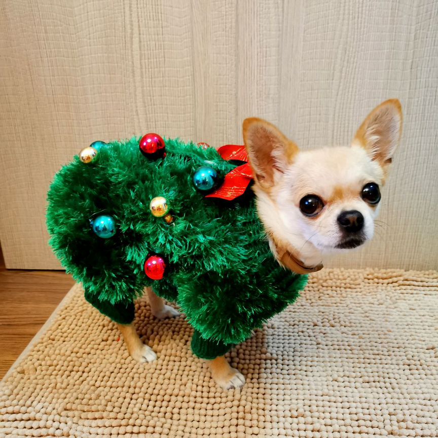 Костюм вязаный для собаки