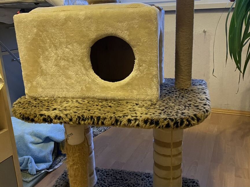 Кошачий игровой комплекс