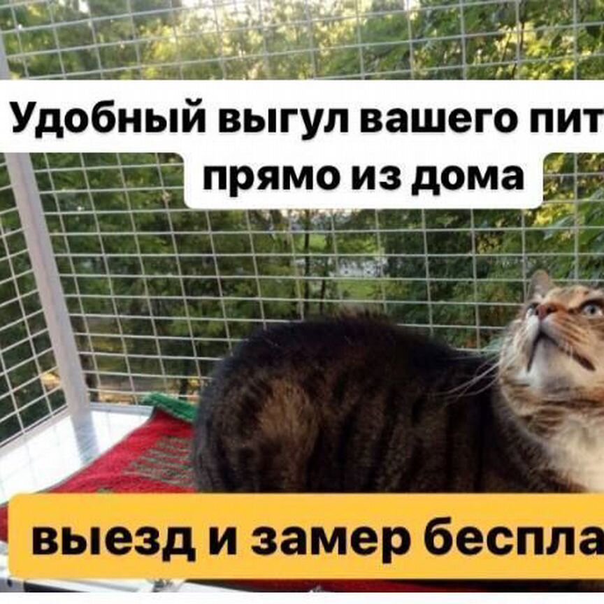 Балкончик для выгула кошки