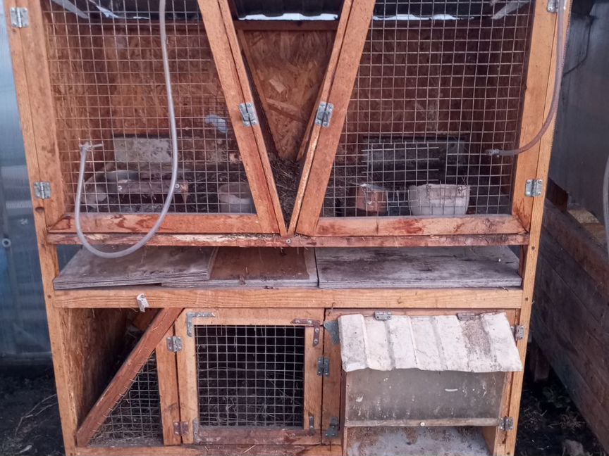 Клетки для кроликов