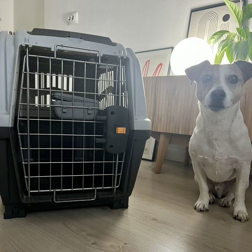 Переноска Skudo 4