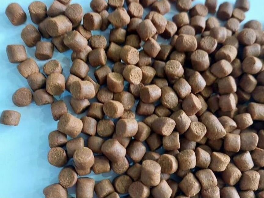 Корм для карпа