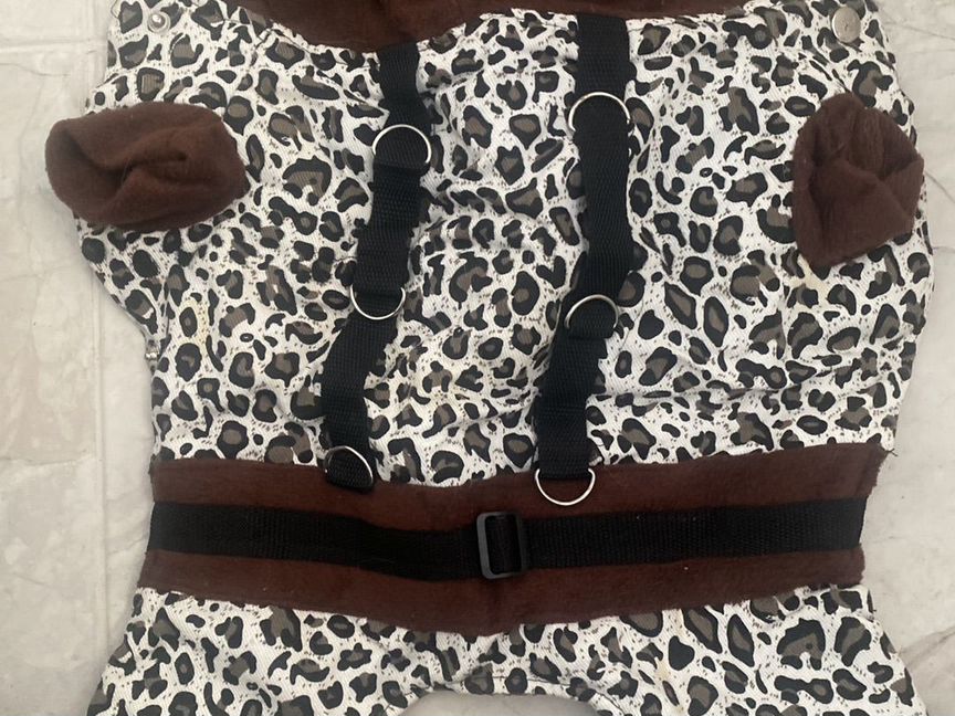 Одежда и кепочки для маленькой собачки