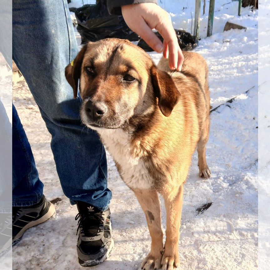 Стерильная девочка- сторож ищет работу и дом