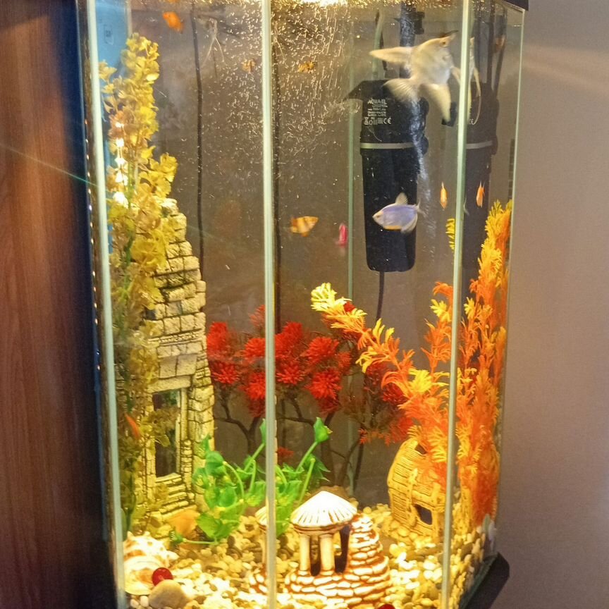 Аквариум с тумбой и рыбками
