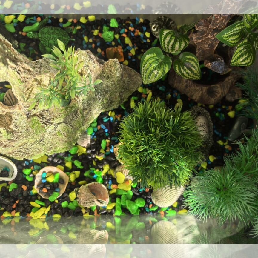 Аквариум на 30 литров с крышкой и подсветкой