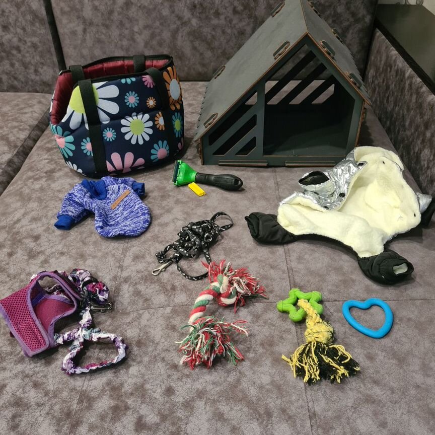 Принадлежности для маленькой собаки