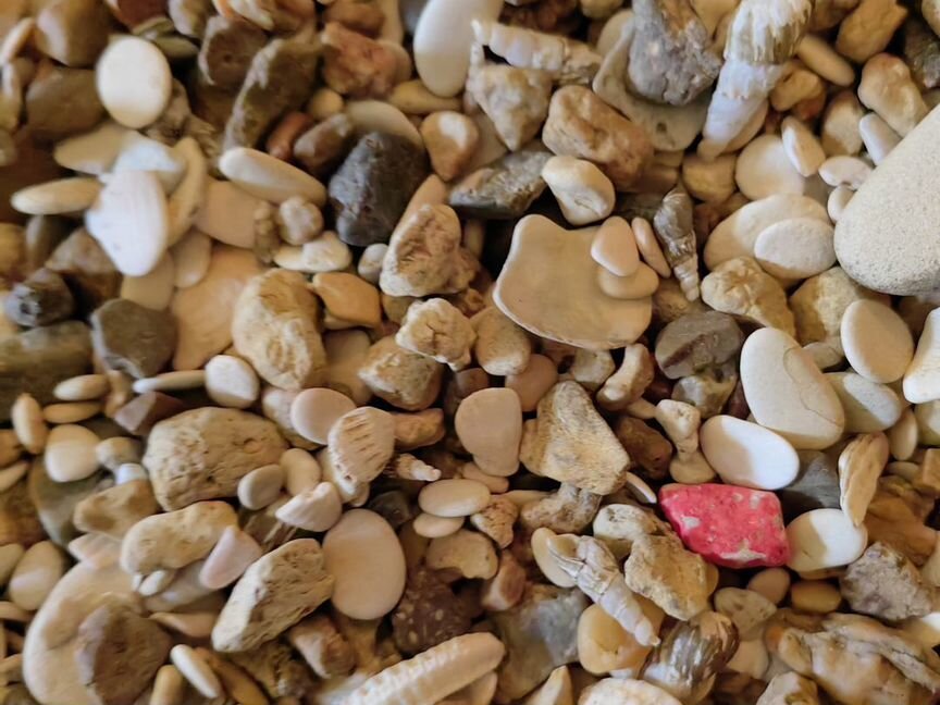 Грунт для аквариума