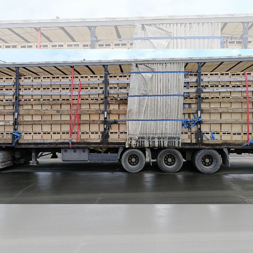 Пчелопакеты из Узбекистана, 4 рамки, пчелы Карника