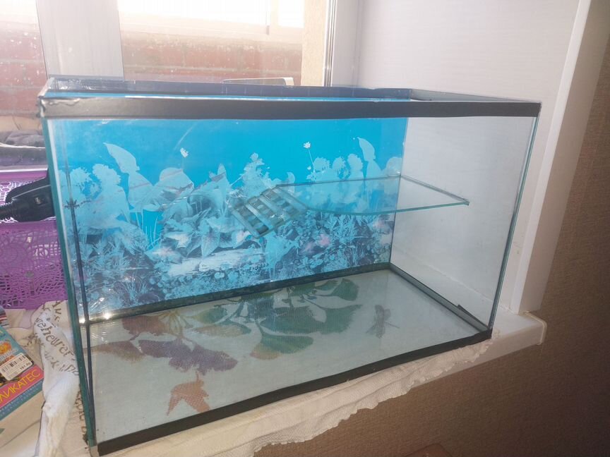 Террариум для красноухой черепахи