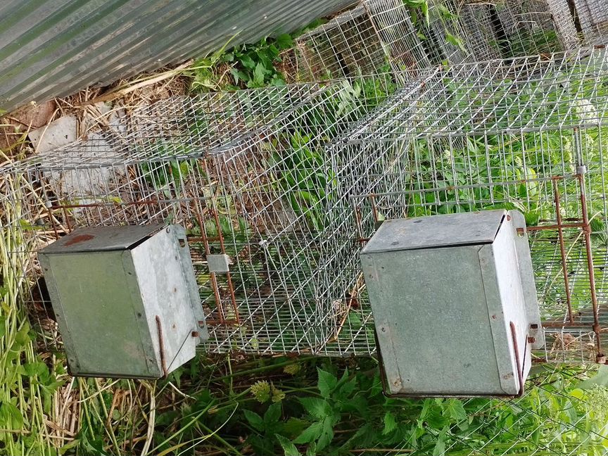 Кроличьи клетки