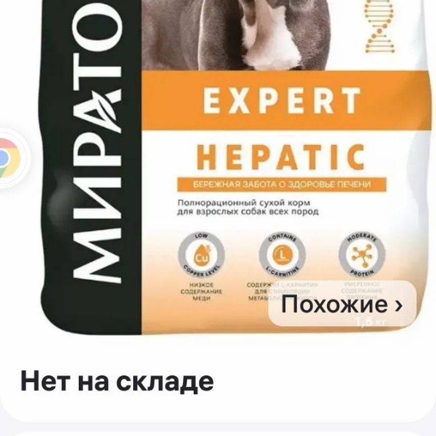 Лечебный корм для собак