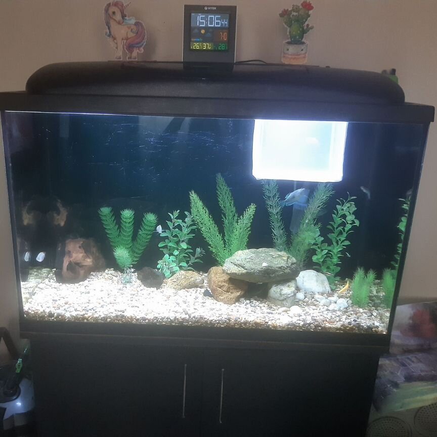 Аквариум+тумба+рыбки+украшения