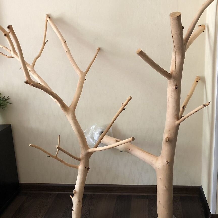 Ветки большие вишня