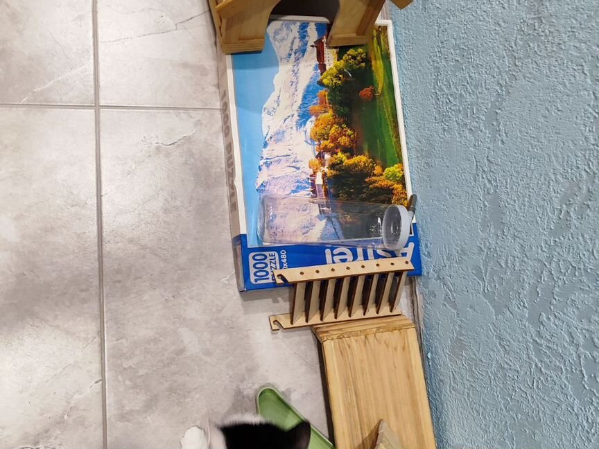 Аксессуары для грызунов