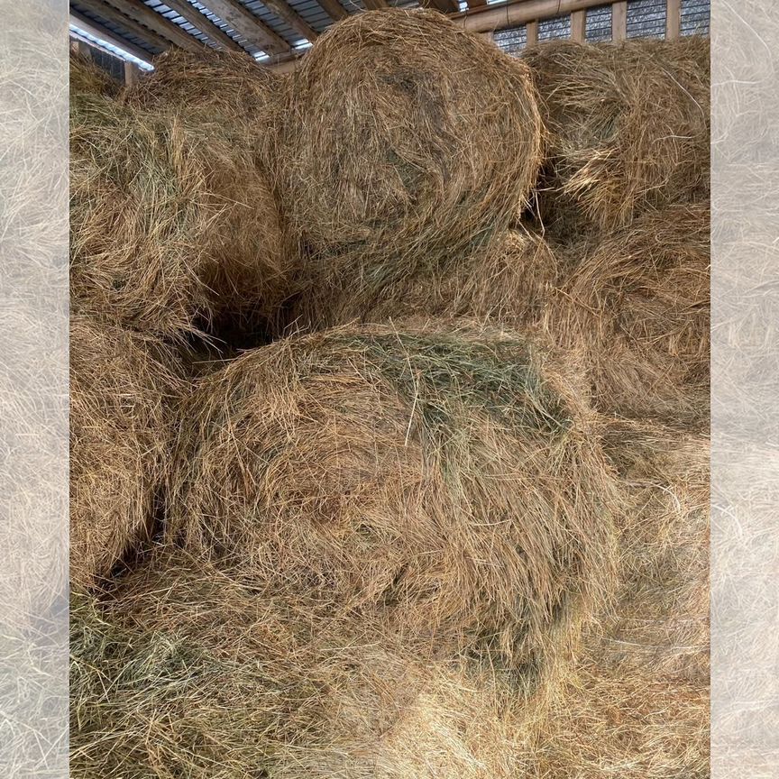 Сено в рулонах