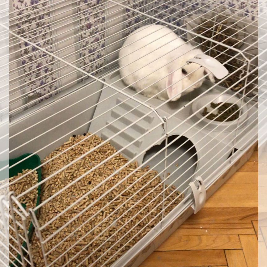 Клетка для кролика