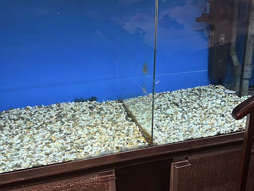 Морской аквариум с тумбой