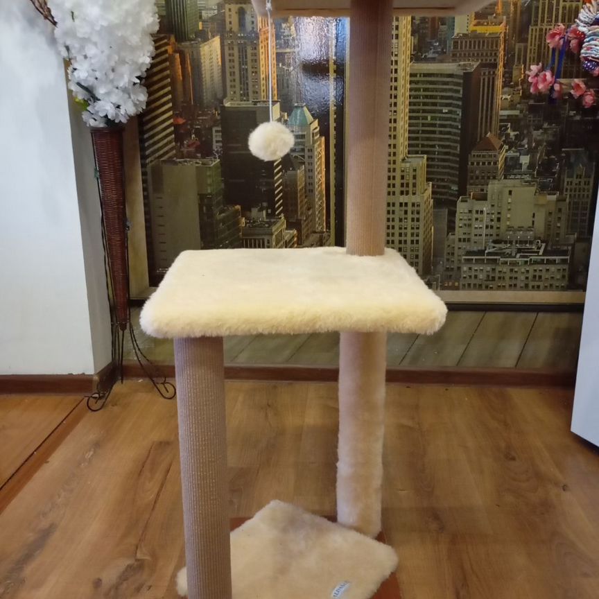 Когтеточка и лежанка