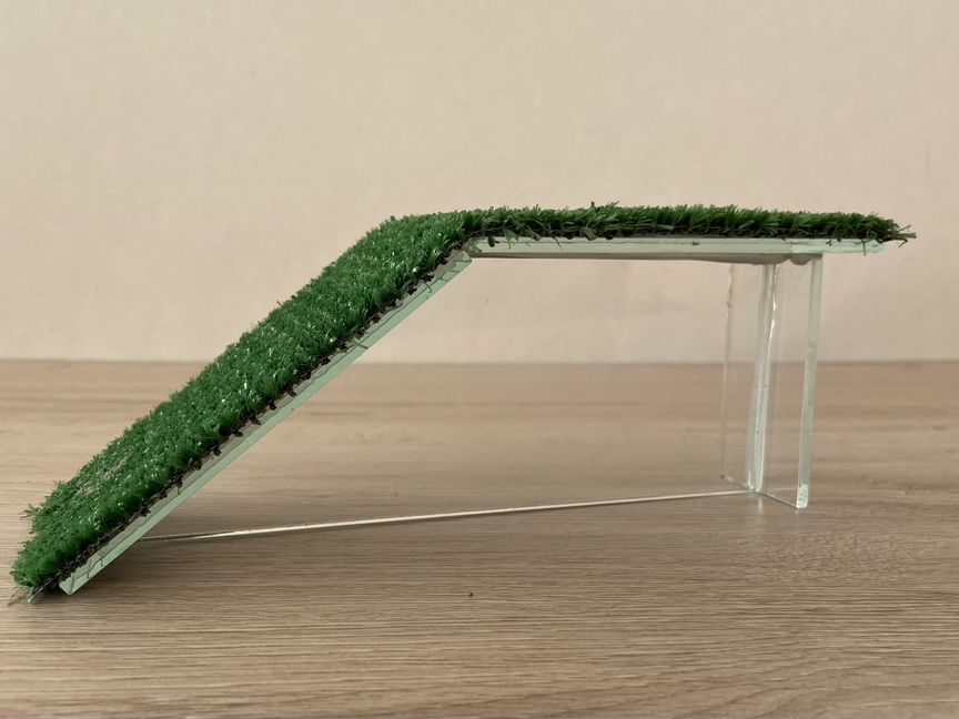 Мостик для черепахи