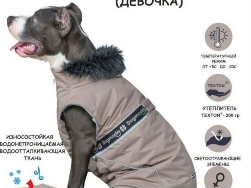 Зимняя попона для собак, девочек (dogmoda 47)