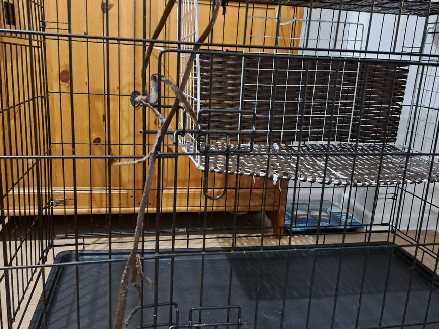 Клетка вольер