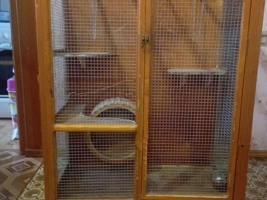 Витрина для шиншилл бу