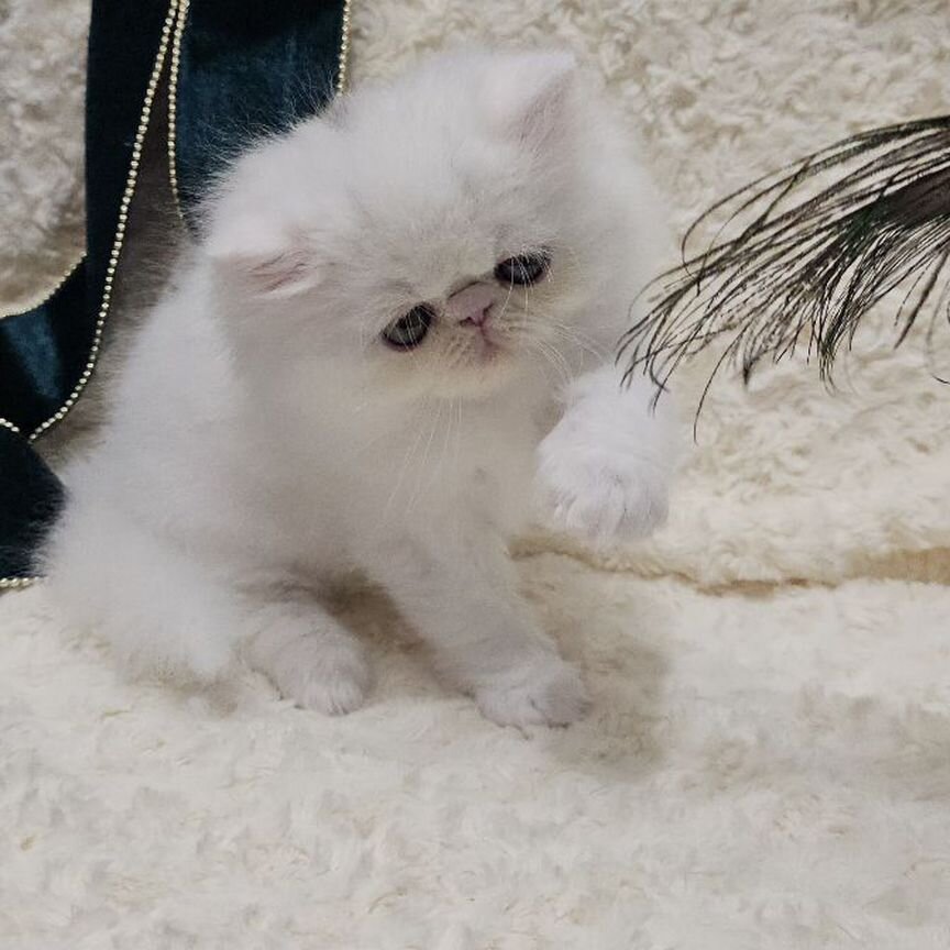 Белоснежка