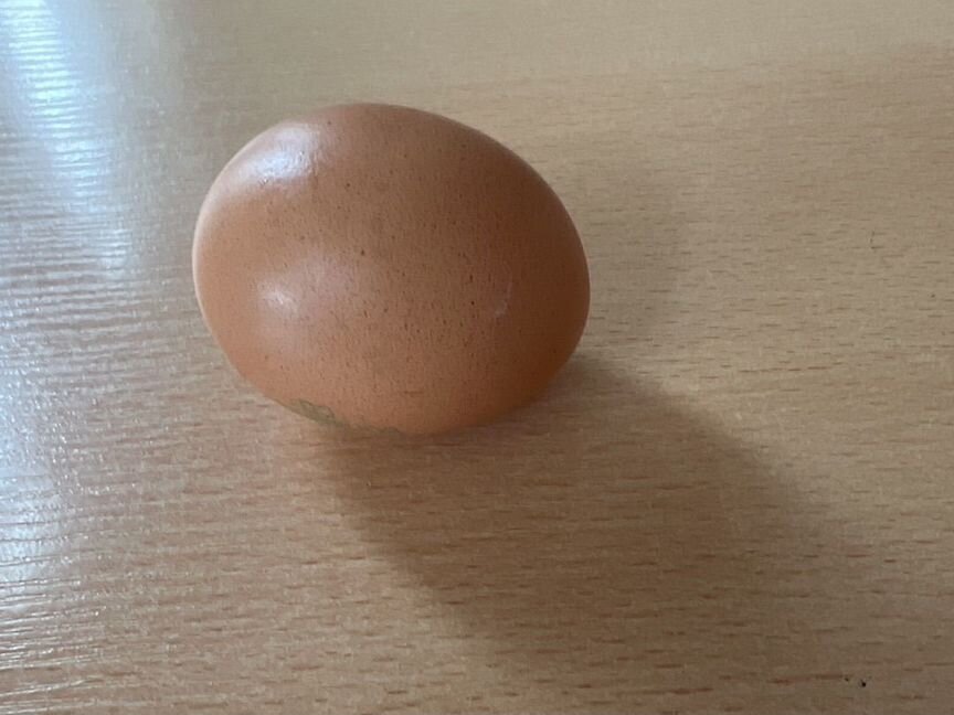 Яйцо куриное оптом