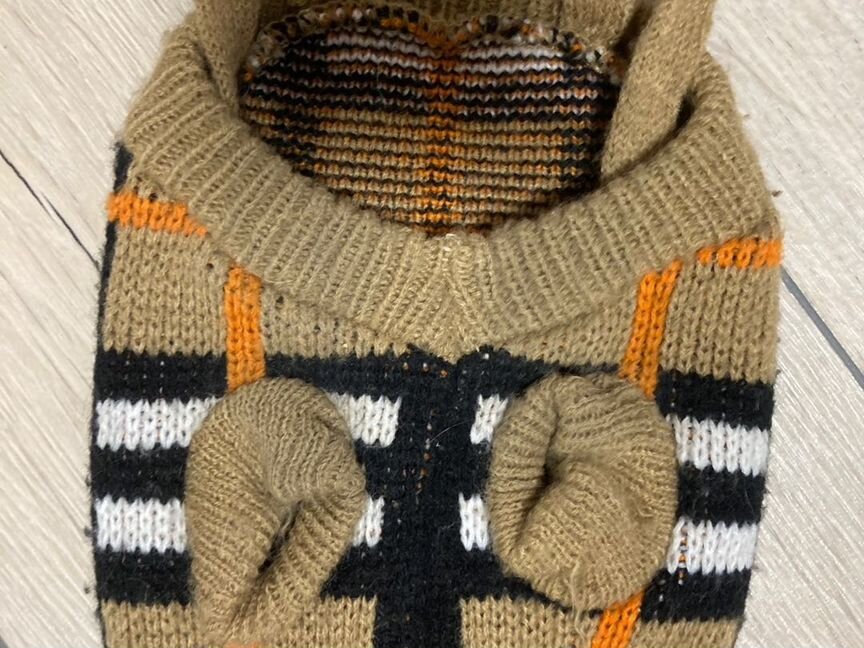 Костюмчик для собаки или кошки