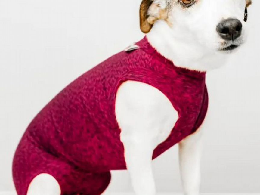 Попона для собак послеоперационная новая