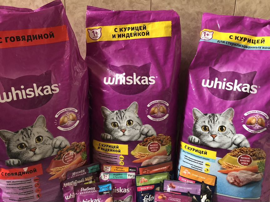 Корм для кошек сухой и влажный
