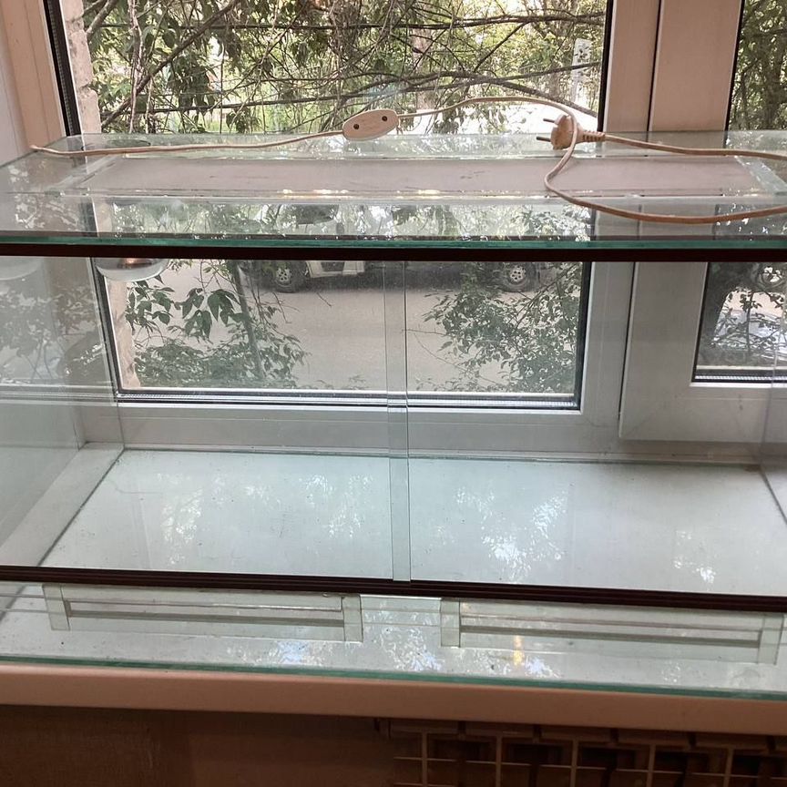 Б/у Террариум 80х40х40 (стекло)