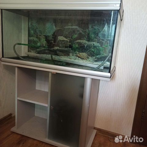 Аквариум