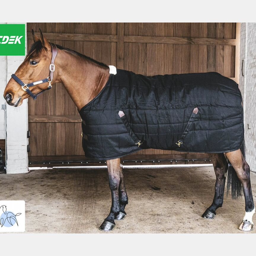 Денниковая попона Classic 100 г от Kentucky - Черный