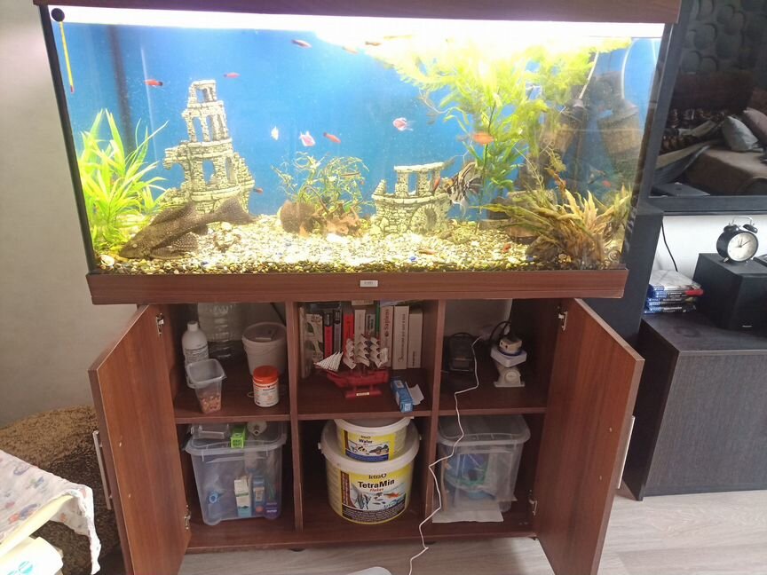 Аквариум со всем содержимым