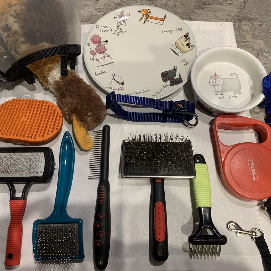 Пакетом вещи доя собаки