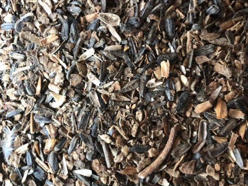 Продаёт отход из семечки