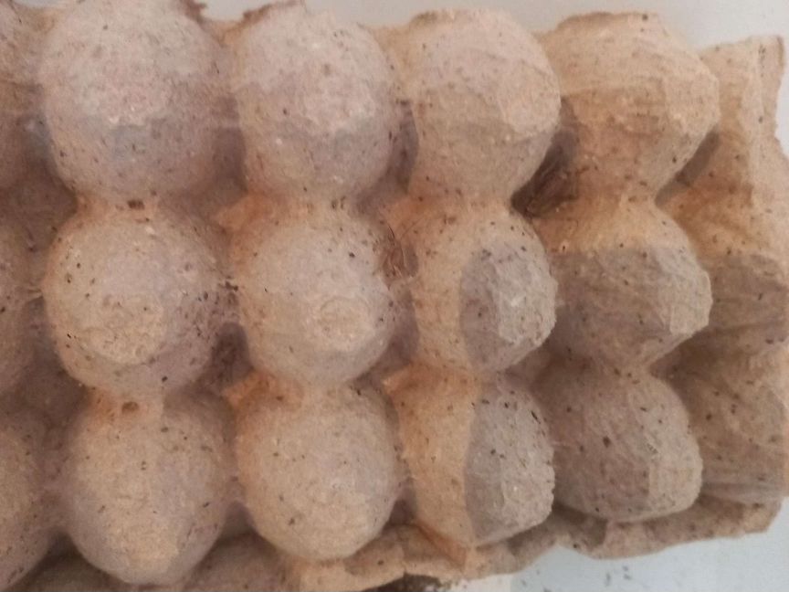 Клетки от яиц 30шт