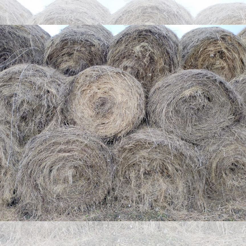 Сено в тюках