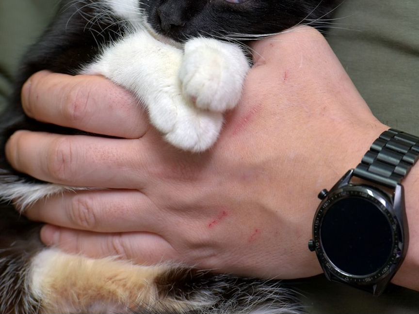 Очень ласковая малышка 6 мес привита