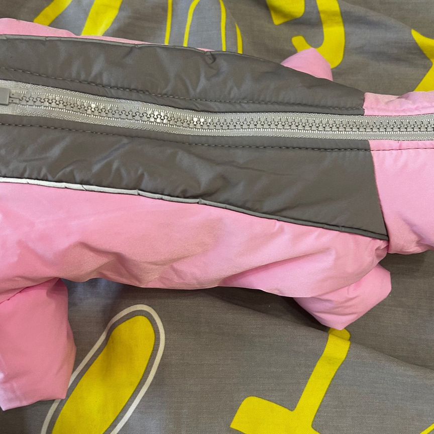 Одежда для собак