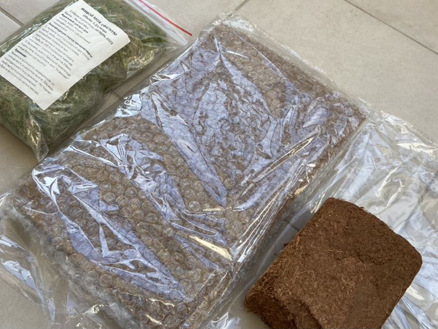 Мох для улитки